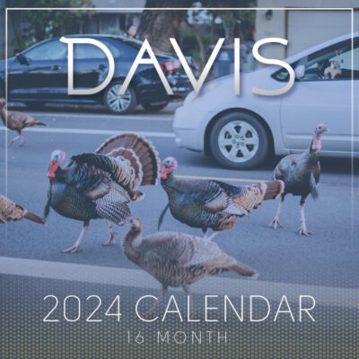 Davis Calendar